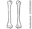 24,263 Humerus Royalty-Free Images, Stock Photos & Pictures | Shutterstock