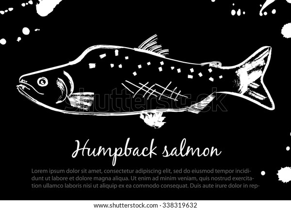 Humpback Salmon Vector Isolated Illustration Ink Stock Vector (Royalty ...