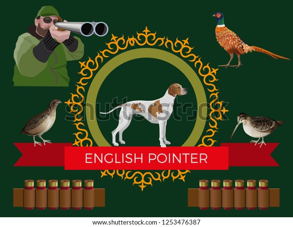 Hunting Gun Dog Set Vector Illustration Stock Vector (Royalty Free ...
