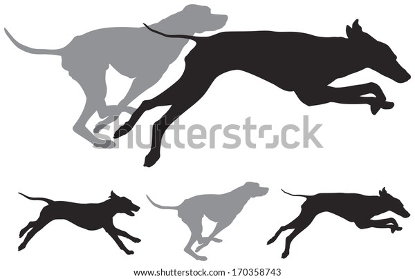 Hunting Hound Dogs Run Foxhound Vector Stock Vector (Royalty Free ...