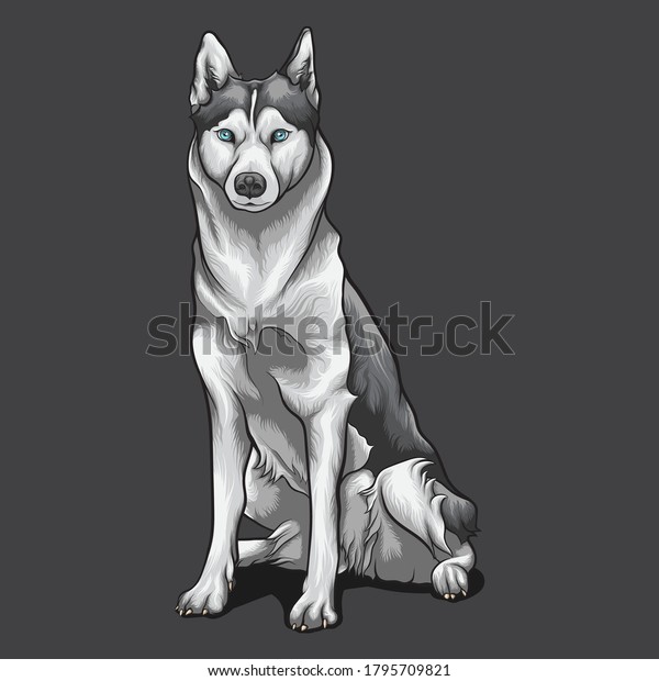 Husky Concept Cartoon Vector Design Stock Vector (Royalty Free ...