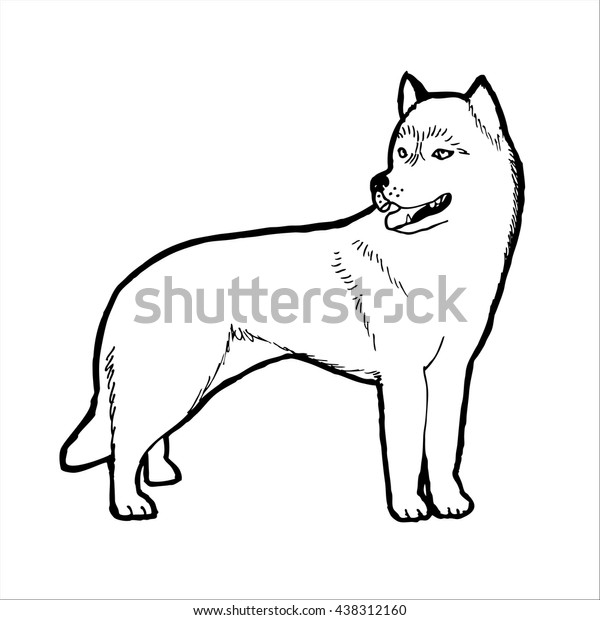 Husky Dog Breed Outline Vector Illustration Stock Vector (Royalty Free ...