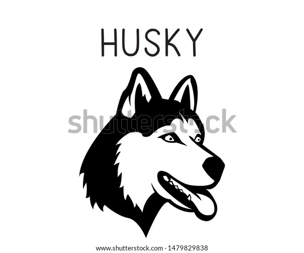 Husky Vector Illustration Black White Stock Vector (Royalty Free ...