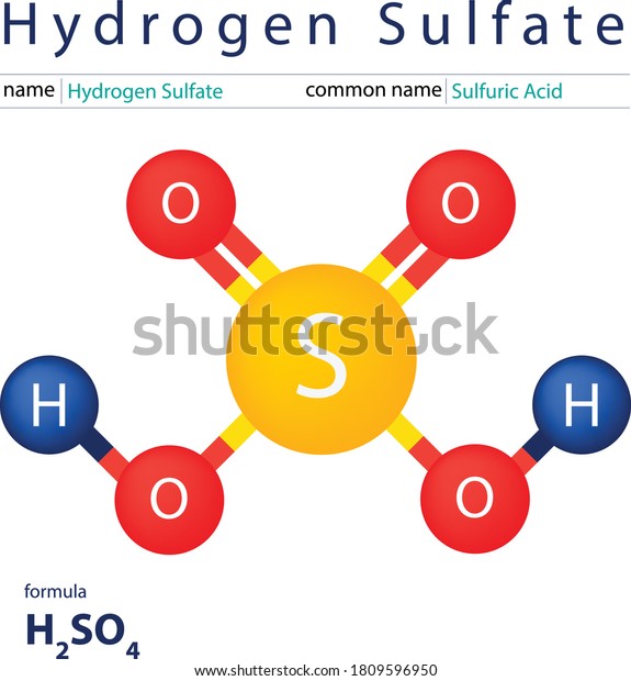 Hydrogen Sulfate Common Name Chemistry Stock Vector (Royalty Free ...