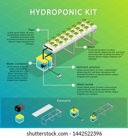 251 Hydroponic Infographics Images, Stock Photos & Vectors | Shutterstock