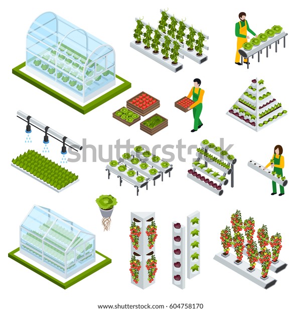 Hydroponics Aeroponics Isometric Icons Set Greenhouse Stock Vector ...