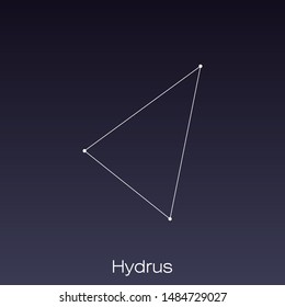 Hydrus Images, Stock Photos & Vectors | Shutterstock