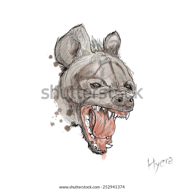 Hyena Head Drawing Vector Stock Vector (Royalty Free) 252941374 ...