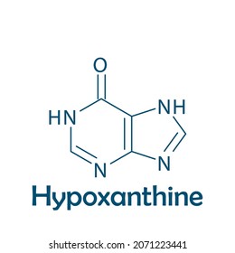 Hypoxanthine Nitrogenous Base Nucleotide Biomolecule Strcuture Stock ...