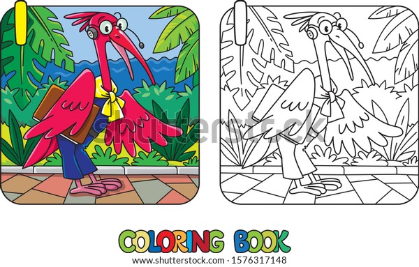 Ibis Interpreter Translator Abc Coloring Book Stock Vector (Royalty ...