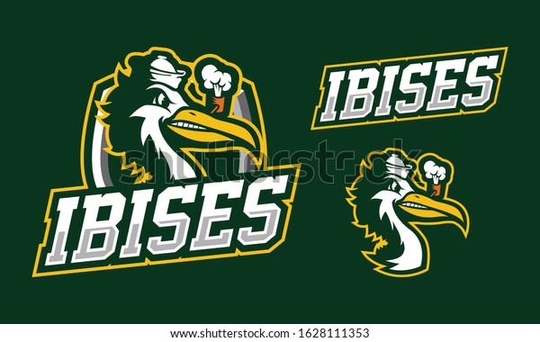 Ibis Mascot Logo Design Sport Esport Stock Vector (Royalty Free) 1628111353