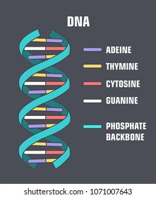 52 Dna rna clip art image Images, Stock Photos & Vectors | Shutterstock