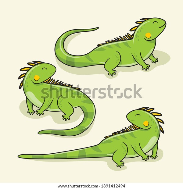 iguana cartoon illustrations set collections