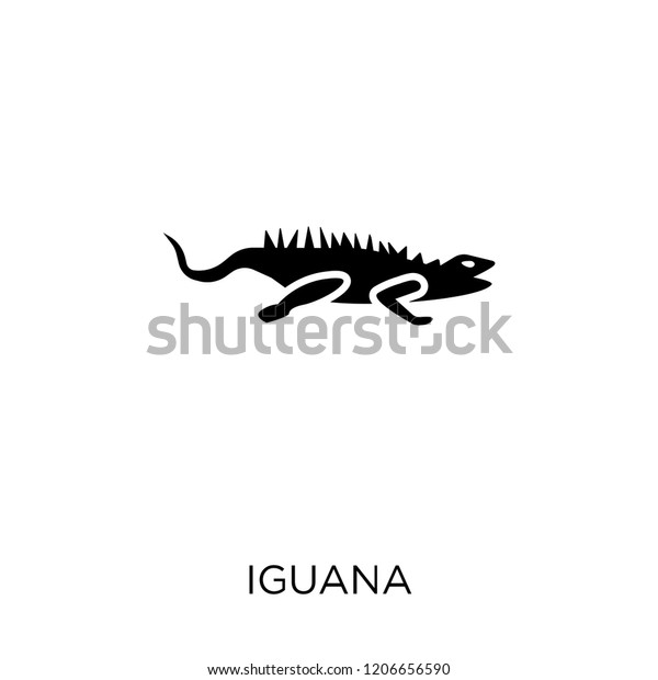 Iguana Icon Iguana Symbol Design Animals Stock Vector (Royalty Free ...