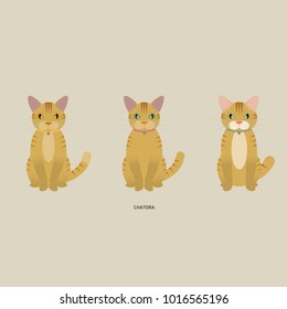 34 Chatora Images, Stock Photos & Vectors | Shutterstock