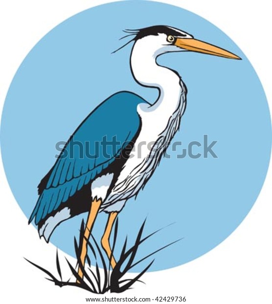 Illustrated Blue Heron Layered Vector File Stock Vector (Royalty Free ...