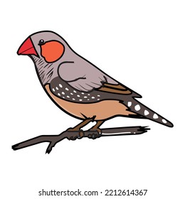 Illustrated Vector Finch Isolated Stock Vector (Royalty Free ...