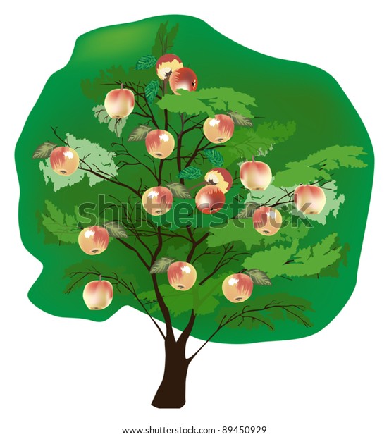 Illustration Apple Tree Isolated On White Stock Vector (Royalty Free ...