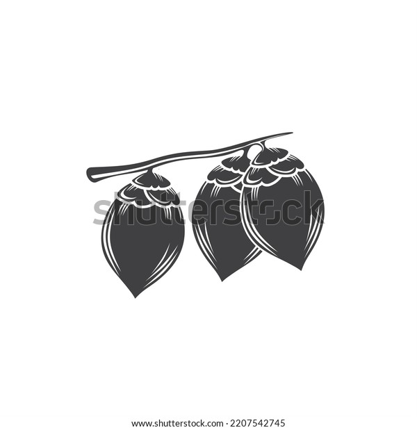 Illustration Areca Nut Vector Art Stock Vector (Royalty Free ...
