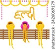 Haldi Ceremony Photos and Images | Shutterstock