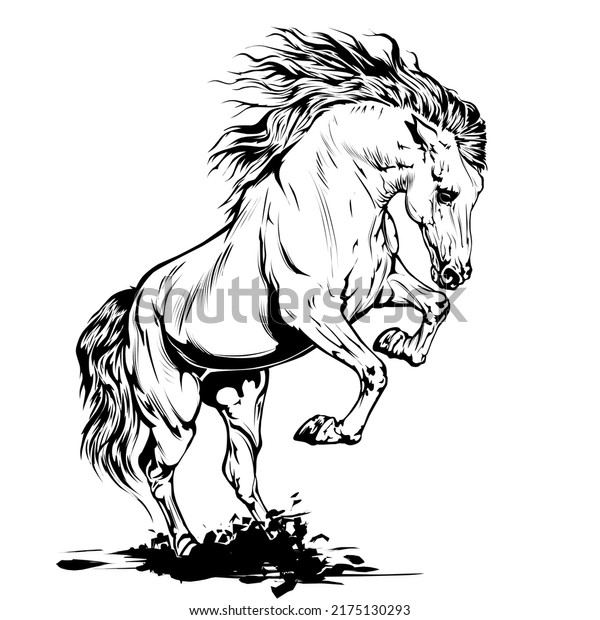 Vektor Stok Illustration Beautiful Horse Jumping Vector Illustration ...