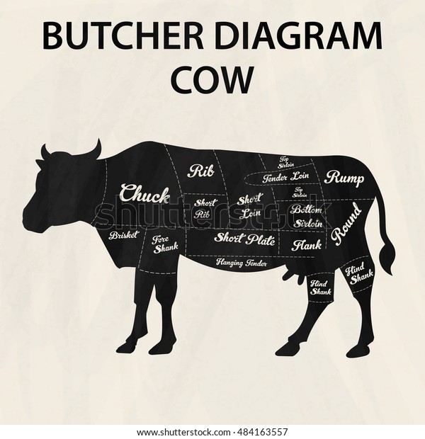 Illustration Beef Cuts Chart Cow Stock Vector (Royalty Free) 484163557