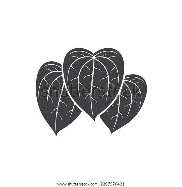 Illustration Betel Leaf Vector Art Stock Vector (Royalty Free ...