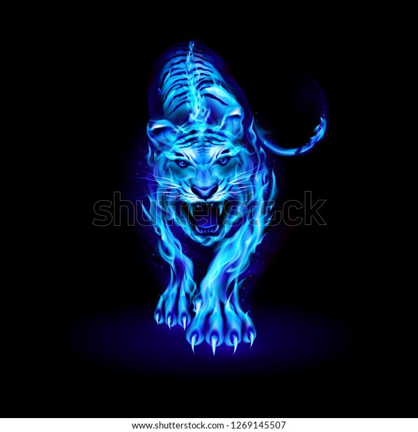 Illustration Big Blue Fire Tiger Walking 스톡 벡터(로열티 프리) 1269145507 ...