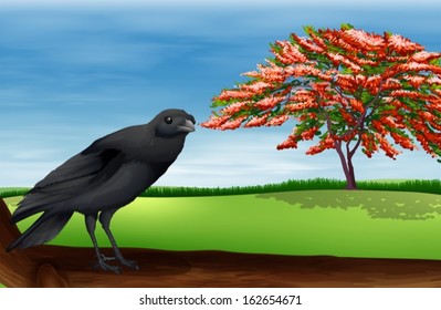 Ichthyornithes Images, Stock Photos & Vectors | Shutterstock