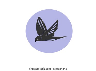 Bird Hummingbirds Outline Black Shadow Laser Stock Vector (Royalty Free ...