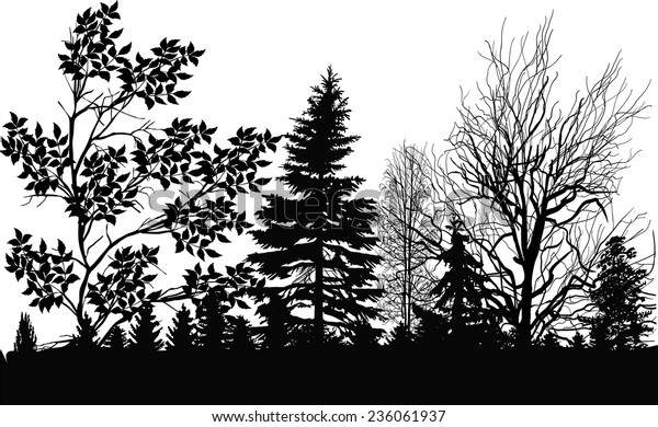 Illustration Black Forest Isolated On White Stock Vector (Royalty Free ...