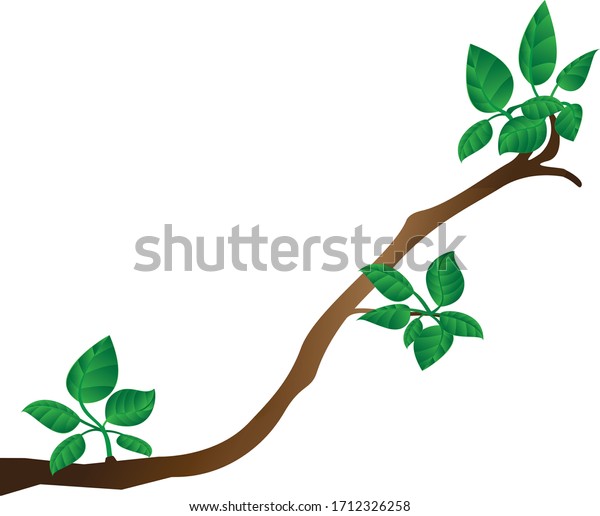 Illustration Branch On White Background Vector Stock Vector (Royalty ...