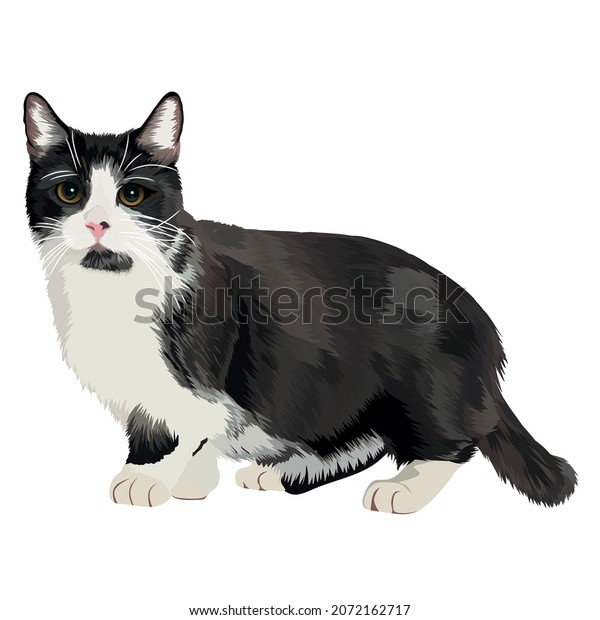 Illustration Cat Cartoon Portrait Vector Perfect Stock Vector (Royalty ...