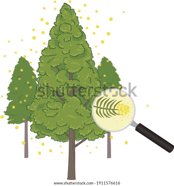154 Pollinosis Cedar Images, Stock Photos & Vectors | Shutterstock
