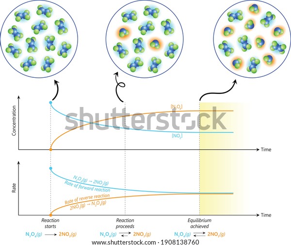Illustration Chemical Equilibrium Graph Infographics Reverse Stock ...