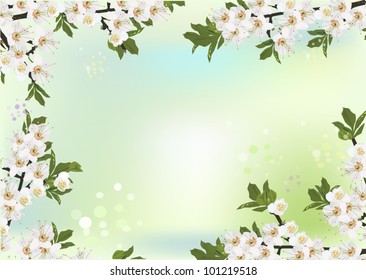 Illustration Cherry Tree Flower Frame Stock Vector (Royalty Free ...