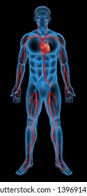 34,342 Human body organs blue Images, Stock Photos & Vectors | Shutterstock