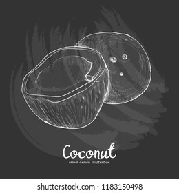 Illustration Coconut Chalk Drawing Style Stock Vector (Royalty Free ...