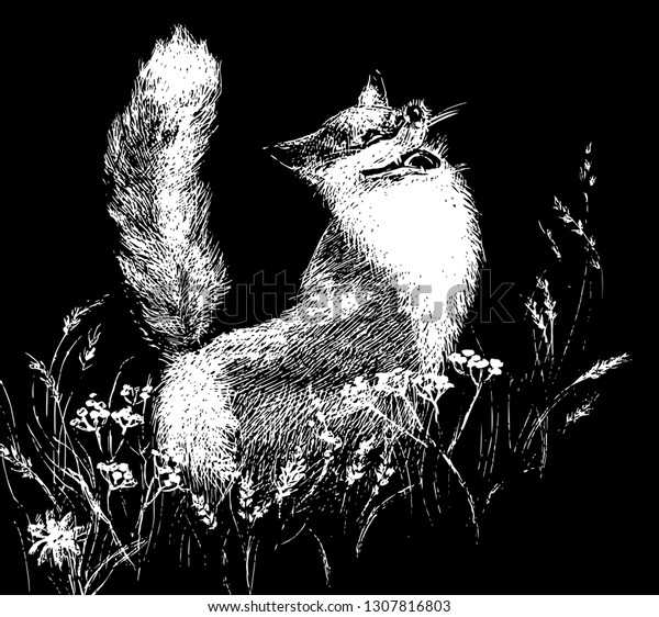 Illustration Cunning Fox Scratching Technique Stock Vector (Royalty ...