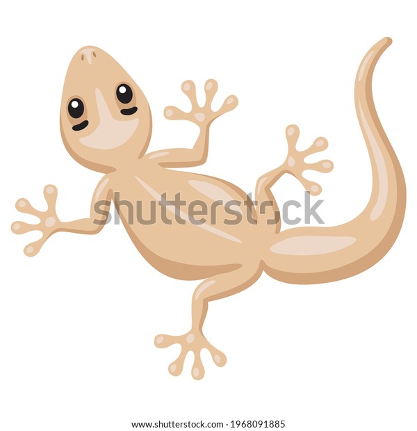 Illustration Cute Cartoon House Lizard Stock Vector (Royalty Free ...