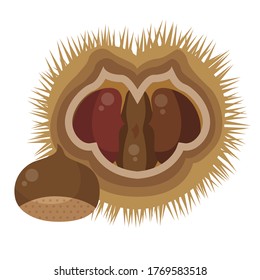 Illustration Cute Chestnut Stock Vector (Royalty Free) 1769583518 ...