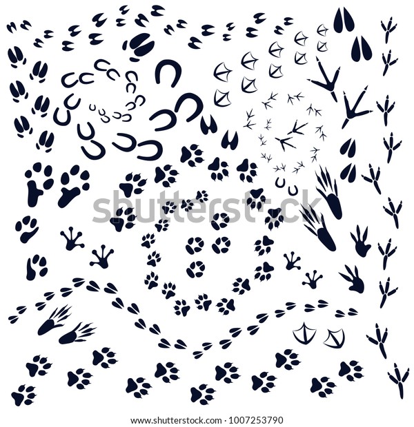 Illustration Different Animal Tracks Can Be Stock Vector (Royalty Free ...