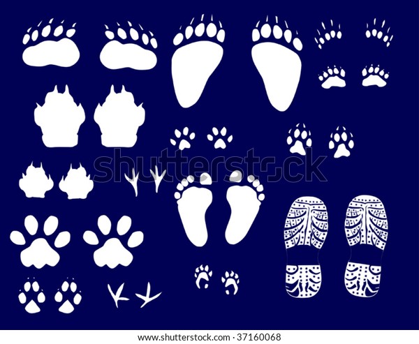 Illustration Different Animals Human Tracks Collection Stock Vector ...