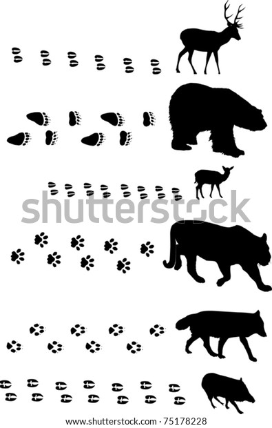 Illustration Different Animals Tracks Collection Stock Vector (Royalty ...
