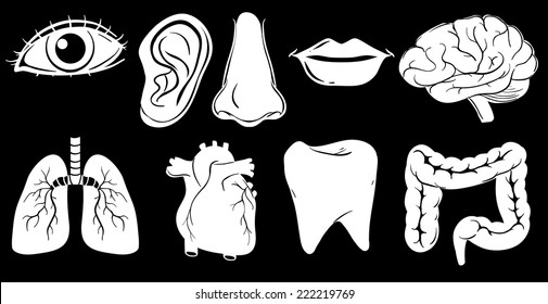 Illustration Different Organs On Black Background Stock Vector (Royalty ...