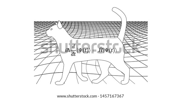 Illustration Erwin Schrodinger Schroedinger Thought Experiment Stock ...