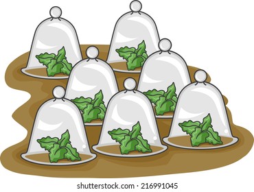 Illustration Featuring Plants Inside Glass Cloches Stock Vector ...