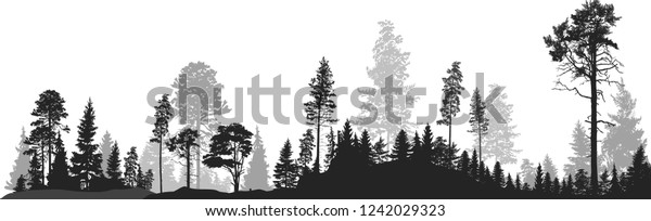 Illustration Fir Trees Forest Isolated On Stock Vector (Royalty Free ...