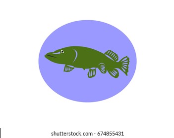 Illustration Fish Pike Icon Stock Vector (Royalty Free) 674855431
