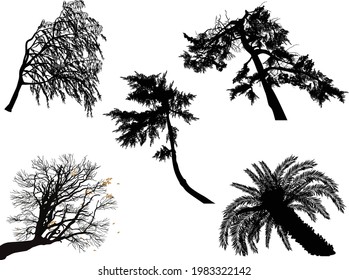 Illustration Five Trees Isolated On White Stock Vector (Royalty Free ...